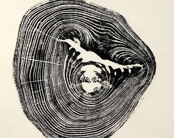 Popular items for cross section on Etsy