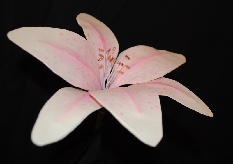 Paper Lily Stem Paper Flowers White Lilies Pink Lilies