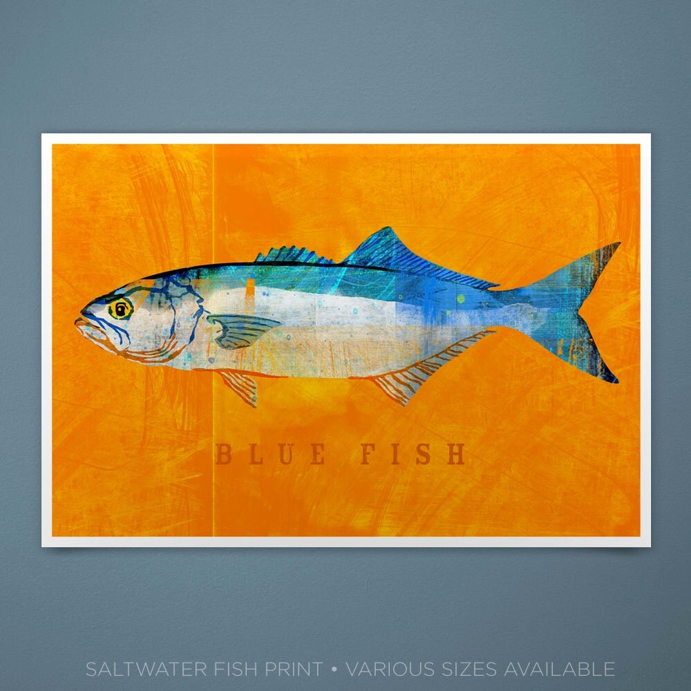 Bluefish Art Print Saltwater Fish Art Beach Home by johnwgolden