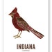 Indiana State Bird Nature art Outdoor art Vintage Map art
