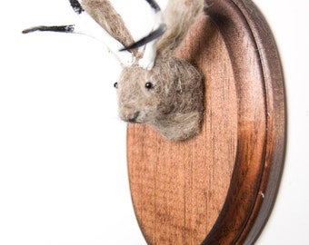Jackalope mount | Etsy