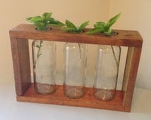 Popular items for rooting vase on Etsy