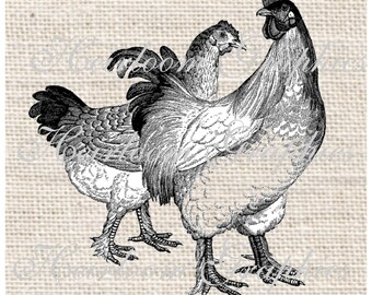 Popular items for chicken transfer on Etsy