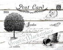 Unique boxwood topiary related items | Etsy