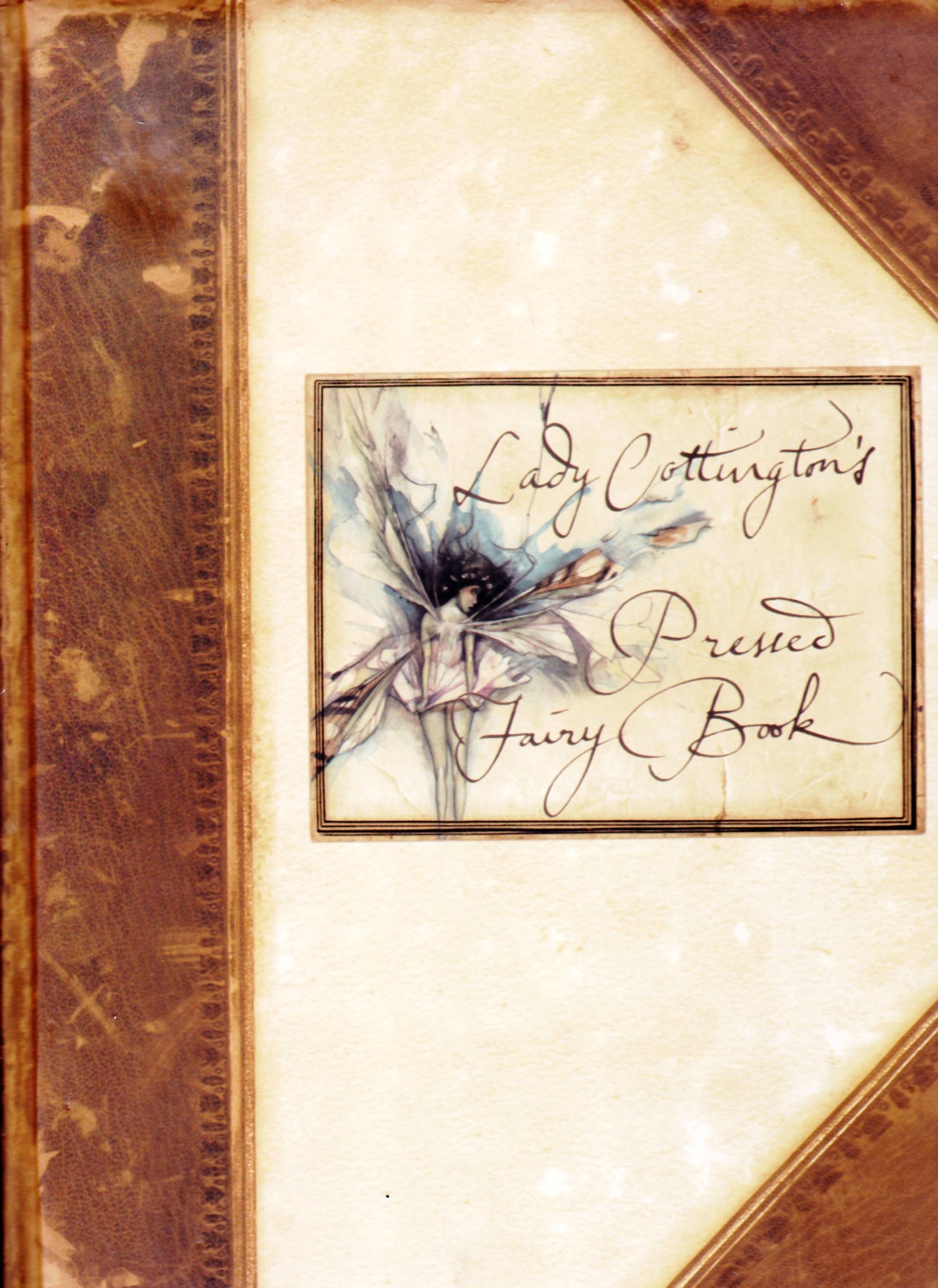 Lady Cottington's Pressed Fairy Collectible Art Book
