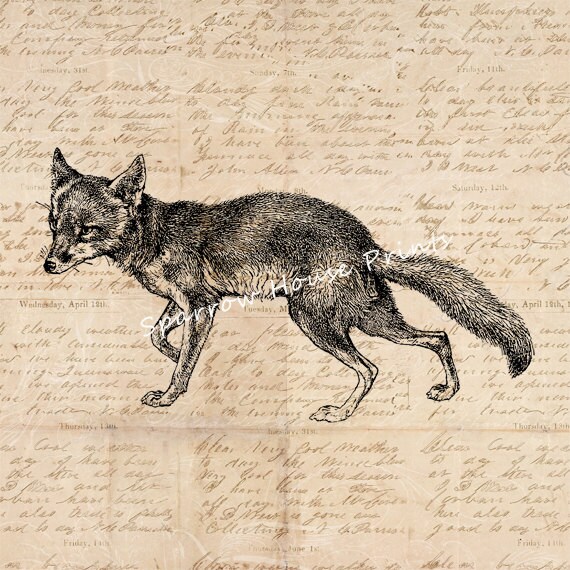 Fox Antique Artwork Wall Art Vintage Print with Aged Script Paper Style ...