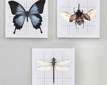 Popular items for victorian science on Etsy