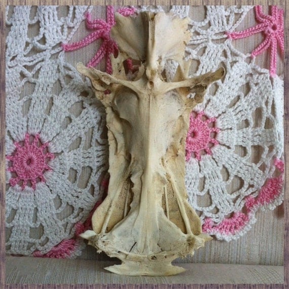 Vintage Crucifix Fish Skeleton Jesus Christ On The Cross