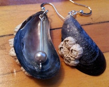 Popular items for mussel shell earring on Etsy