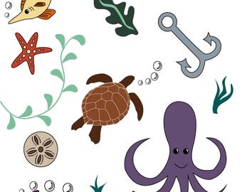 Sand dollar clip art | Etsy