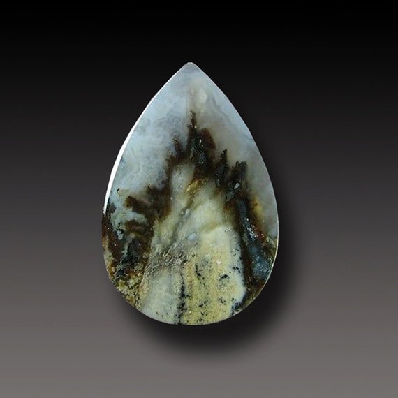 Graveyard Point Plume Agate Cabochon Cab