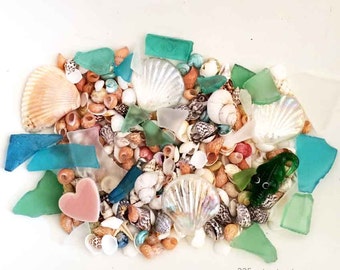Popular items for tiny seashells on Etsy