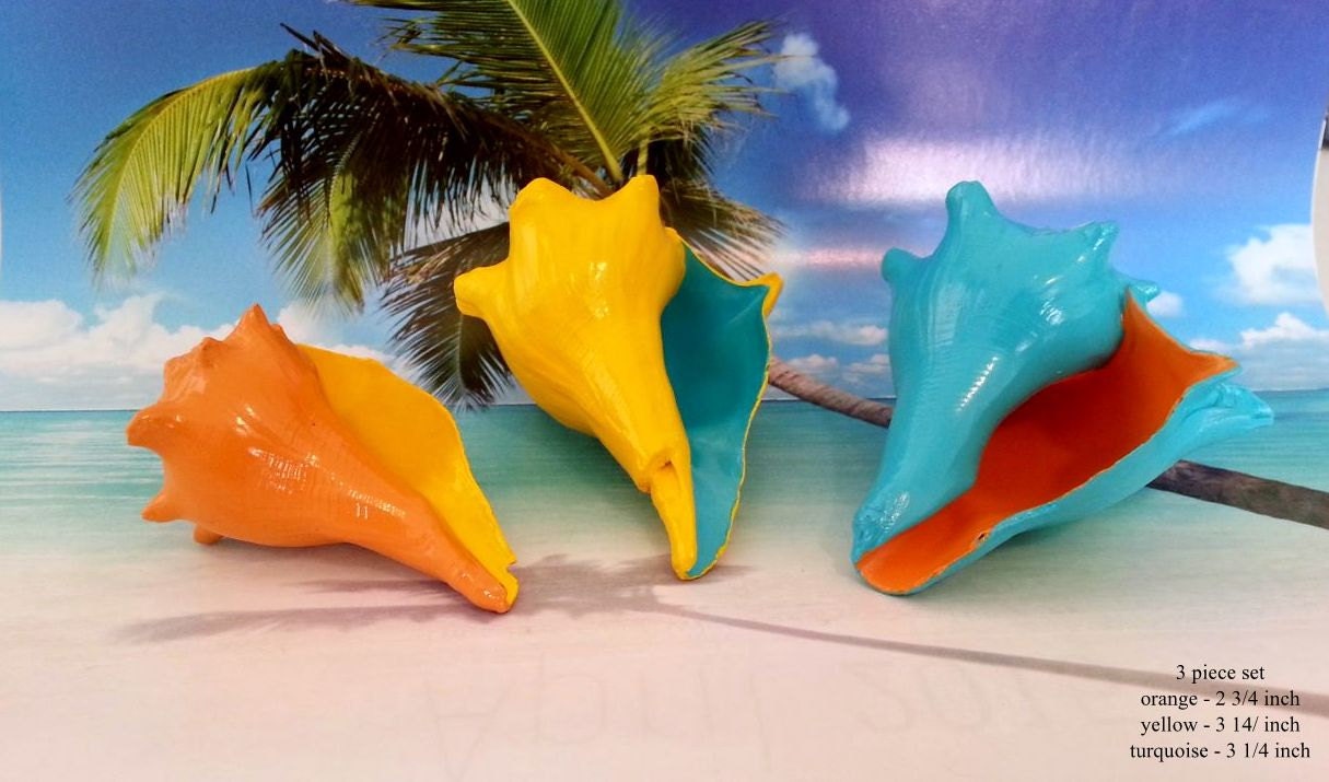 Bright colors hand painted conch shells coastal home decor