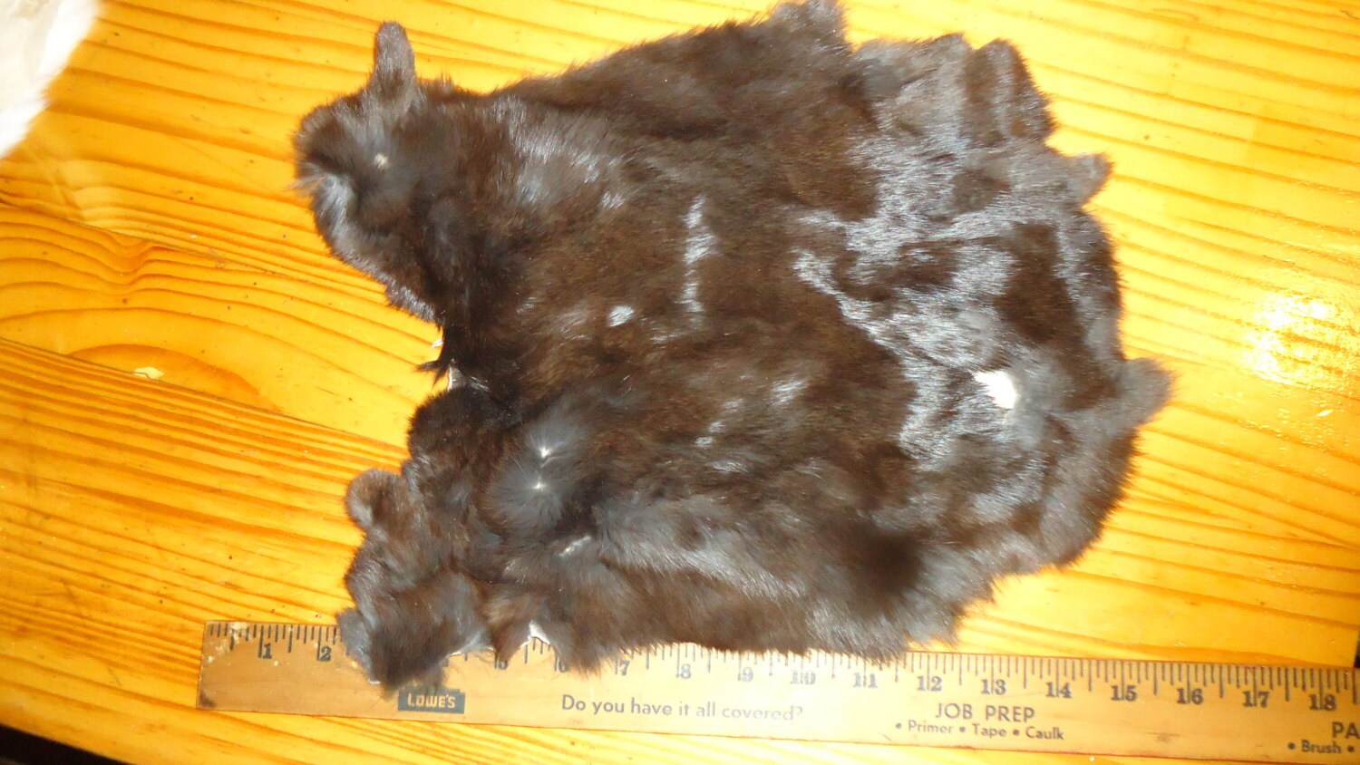 Rabbit Hide 10-9 by AlaskaSpiritCrafts on Etsy