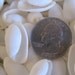 Beach Decor White Bubble Shells 15 Bubble Shell Seashell