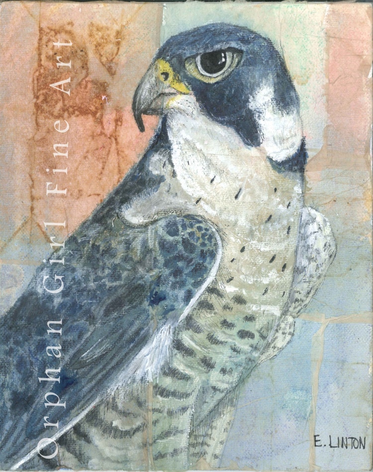 Peregrine Falcon Painting Falcon Art Bird by OrphanGirlFineArt
