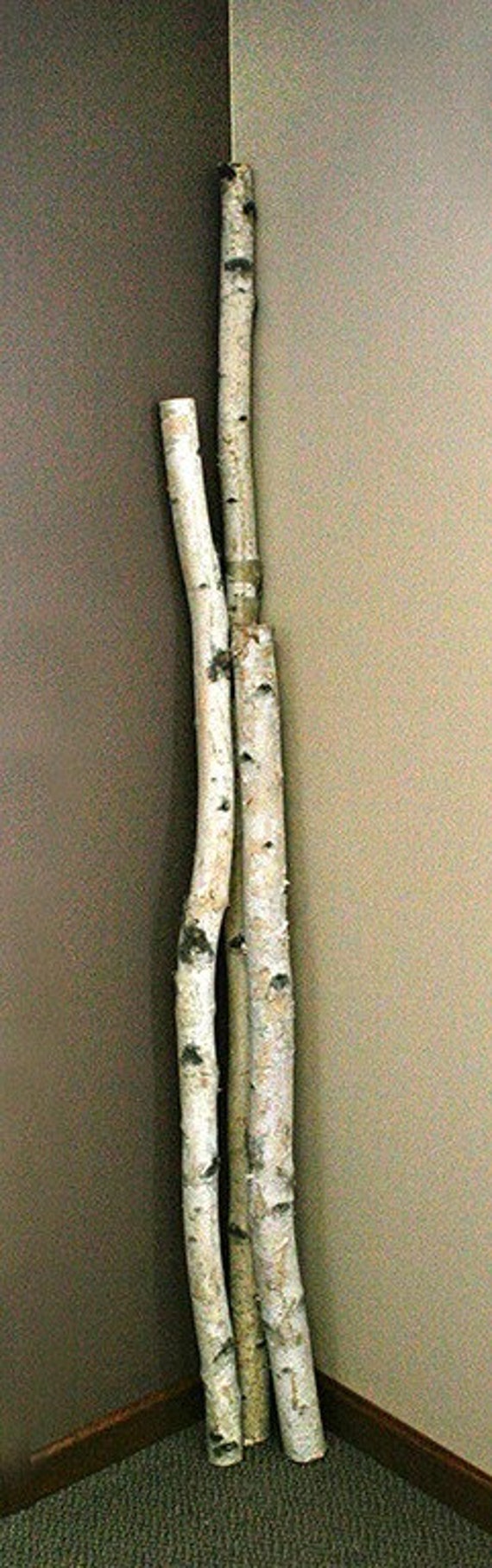 White Birch Pole Packs