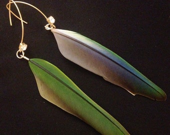 Parrot Feather Earrings / blue and Green