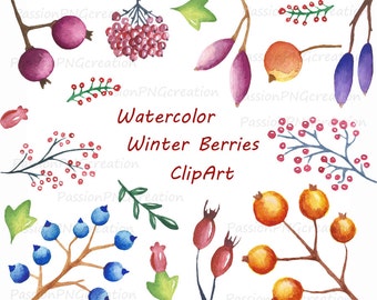 Watercolor Winter berries, Christmas clipart, Watercolor christmas ...