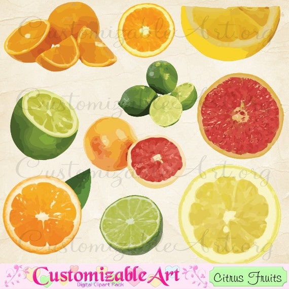 Citrus Fruit Clip Art Digital Fruits Sour Lemon Lime Oranges
