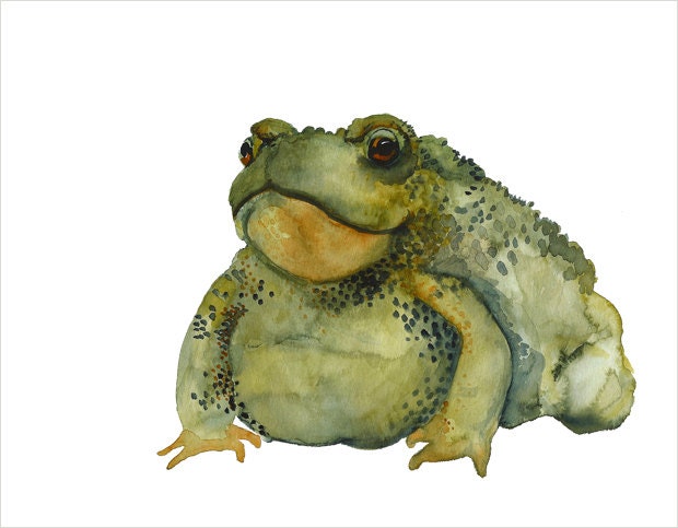 toad watercolor Burp toad art archival print