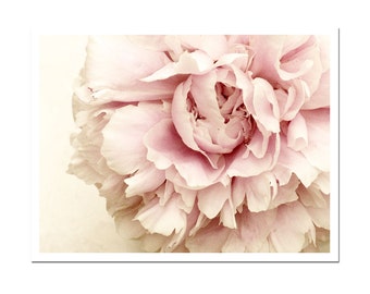 Botanical Art Photography Pink Orchid Flower Wall by GalleryZooArt