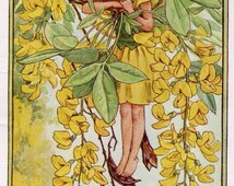 Unique laburnum related items | Etsy