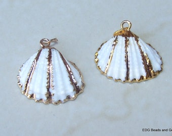 Popular items for Clam shell beads on Etsy