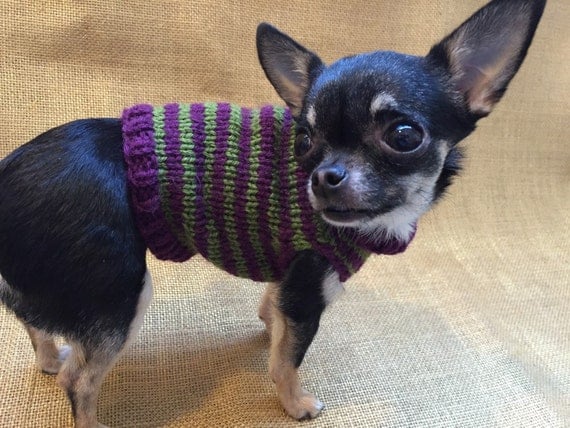 Extra Extra Small XXS Striped Knit Dog Sweater extra-extra-small-xxs-striped-knit-dog-sweater