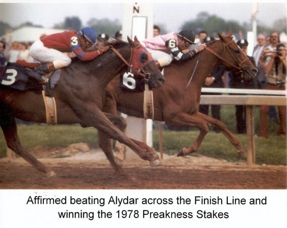 Affirmed beating Alydar across the 1978 Preakness Stakes