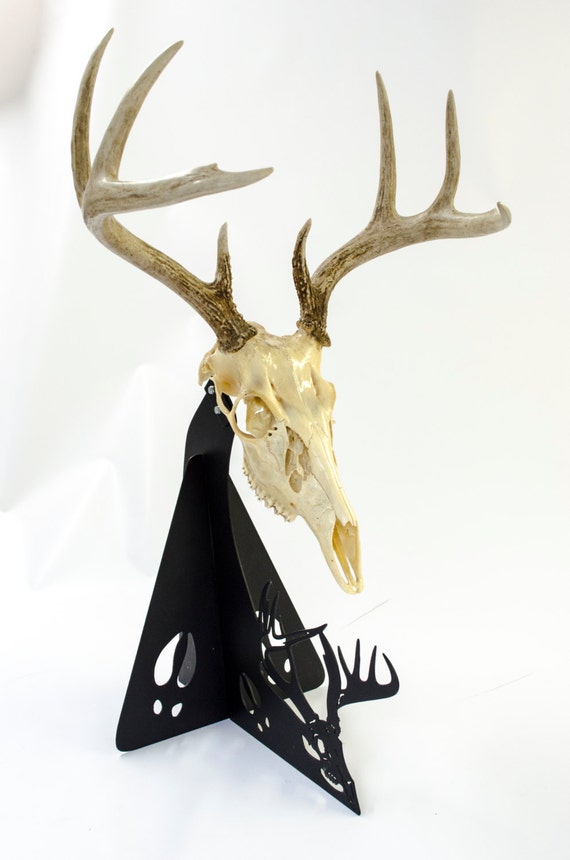 Items similar to European Deer Skull Mount Kit. Handcrafted Pedestal ...