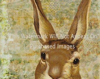 Victorian bunnies | Etsy