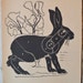 Vintage Winchester Western Jack Rabbit Target shooting Paper
