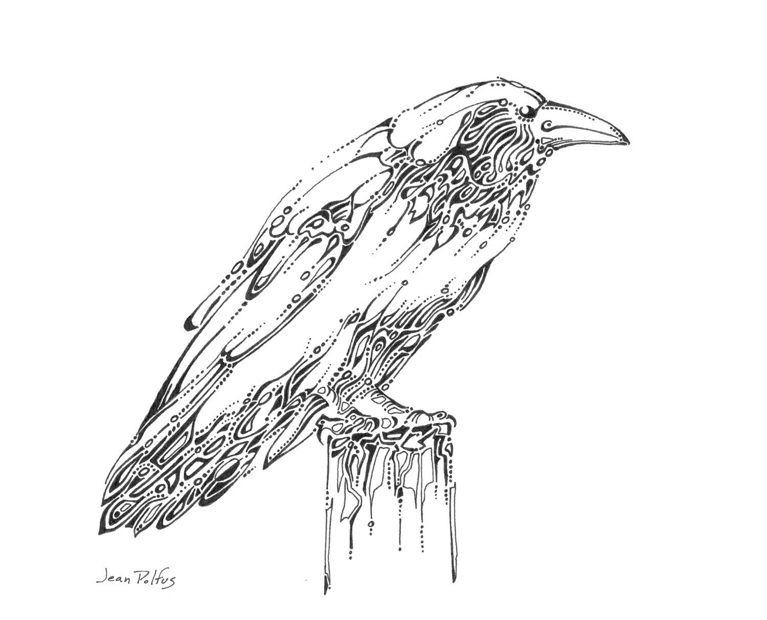 Raven drawing wildlife artwork raven illustration wall art