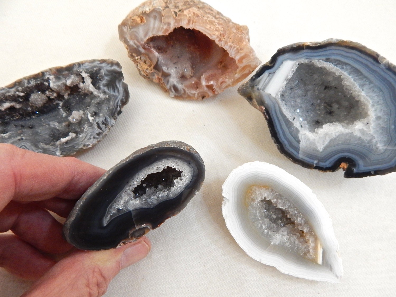 Five Druzy Geodes Rocks and Minerals Geode Slice Specimens