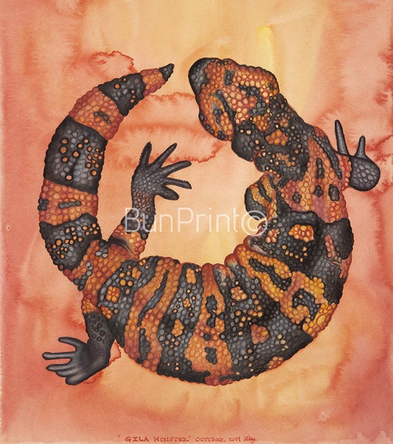 Gila Monster Mixed Media Drawing Southwest Lizard Museum