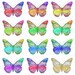 Butterfly clip art. Commercial & Personal Use. by PolpoDesign