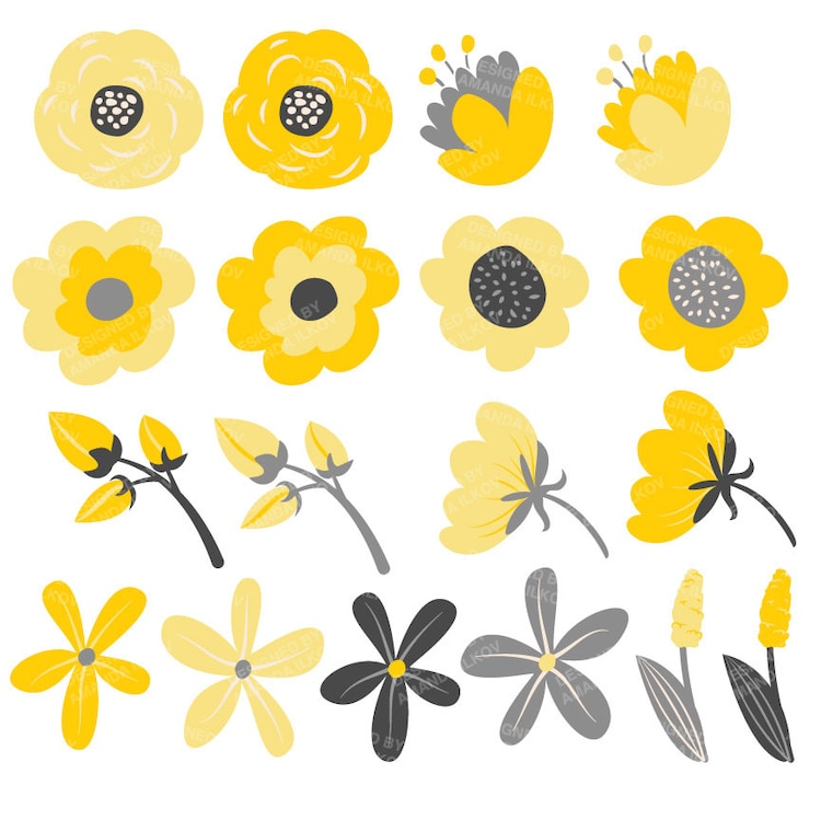 Premium Yellow Flowers Clipart & Floral Vectors by AmandaIlkov