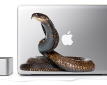 Unique snake wall art related items | Etsy