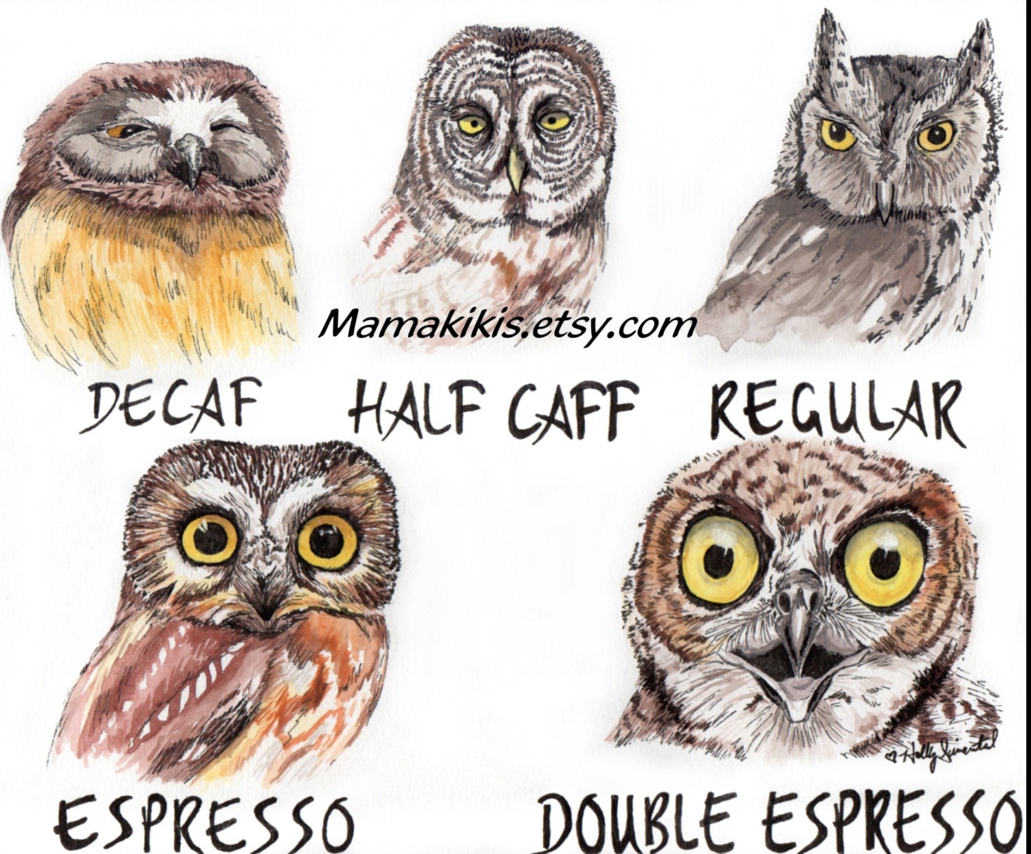 Coffee shop owl fine art print illustration caffeine art work