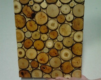 Items similar to original tree slice wall art 3 dimensional set ...
