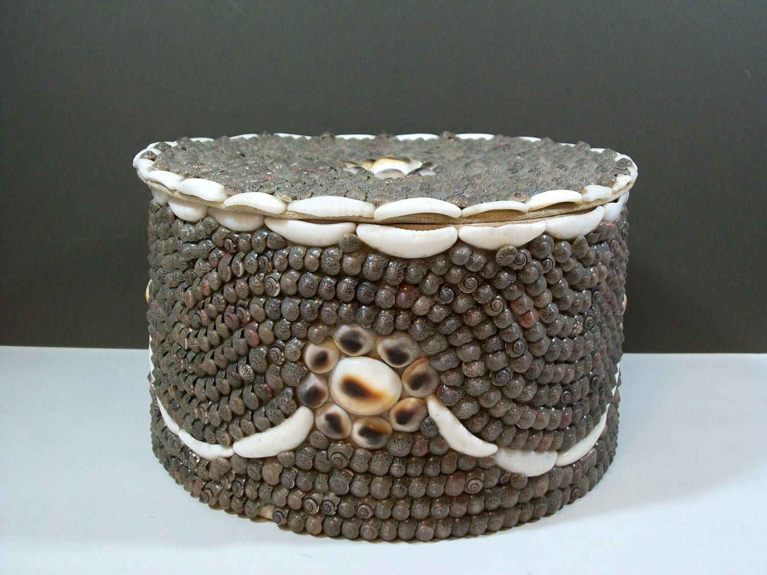 Large Vintage Gray and White Sea Shell Box Jewelry Storage Beach House ...