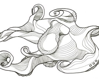 Octopus Drawing Bathyscapthopus Fine Art by AnOctopusADay