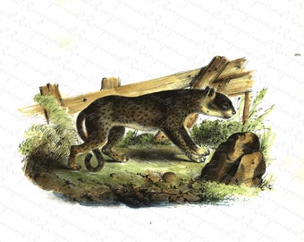 Items similar to Ravenna Italy by Ghiotti Framed by Erlo Rahmen of ...