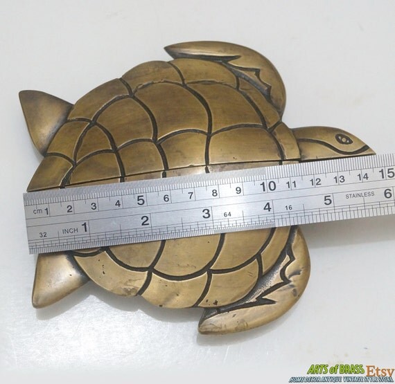 5.70 Inches Big Vintage Sea Ocean TURTLE Cabinet Solid