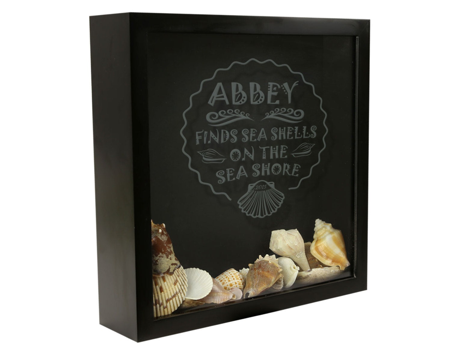 Seashell Shadow Box Seashell Collection Box Seashell Art