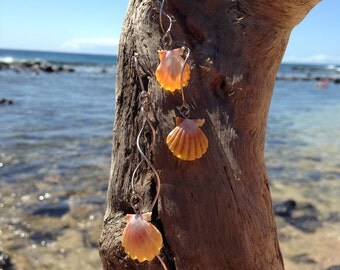 Kauai sunrise shell | Etsy
