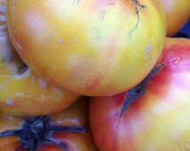 Popular items for invincible summer on Etsy