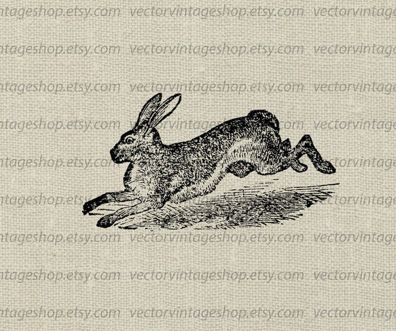 Vintage Bunny Vector Clip Art Easter Decor Rabbit Digital