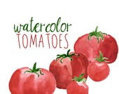 Watercolor Clipart Digital Graphics by DigitalPressCreation